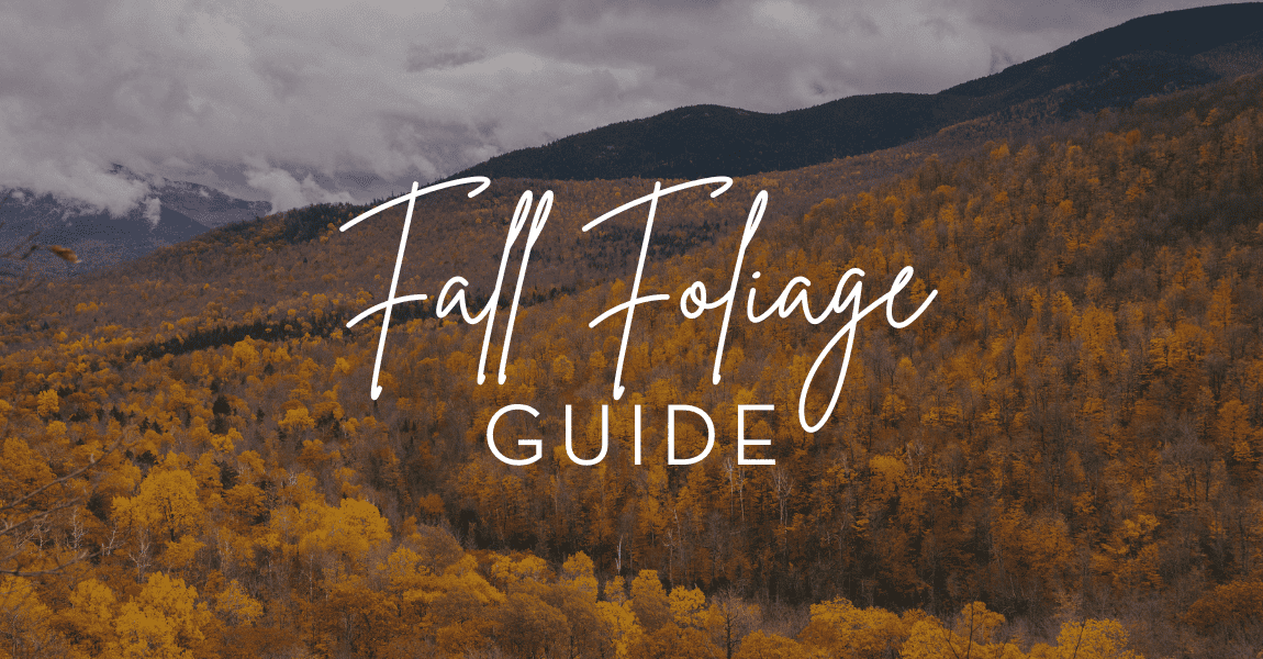 Fall Foliage 2025 - Portside Real Estate Group